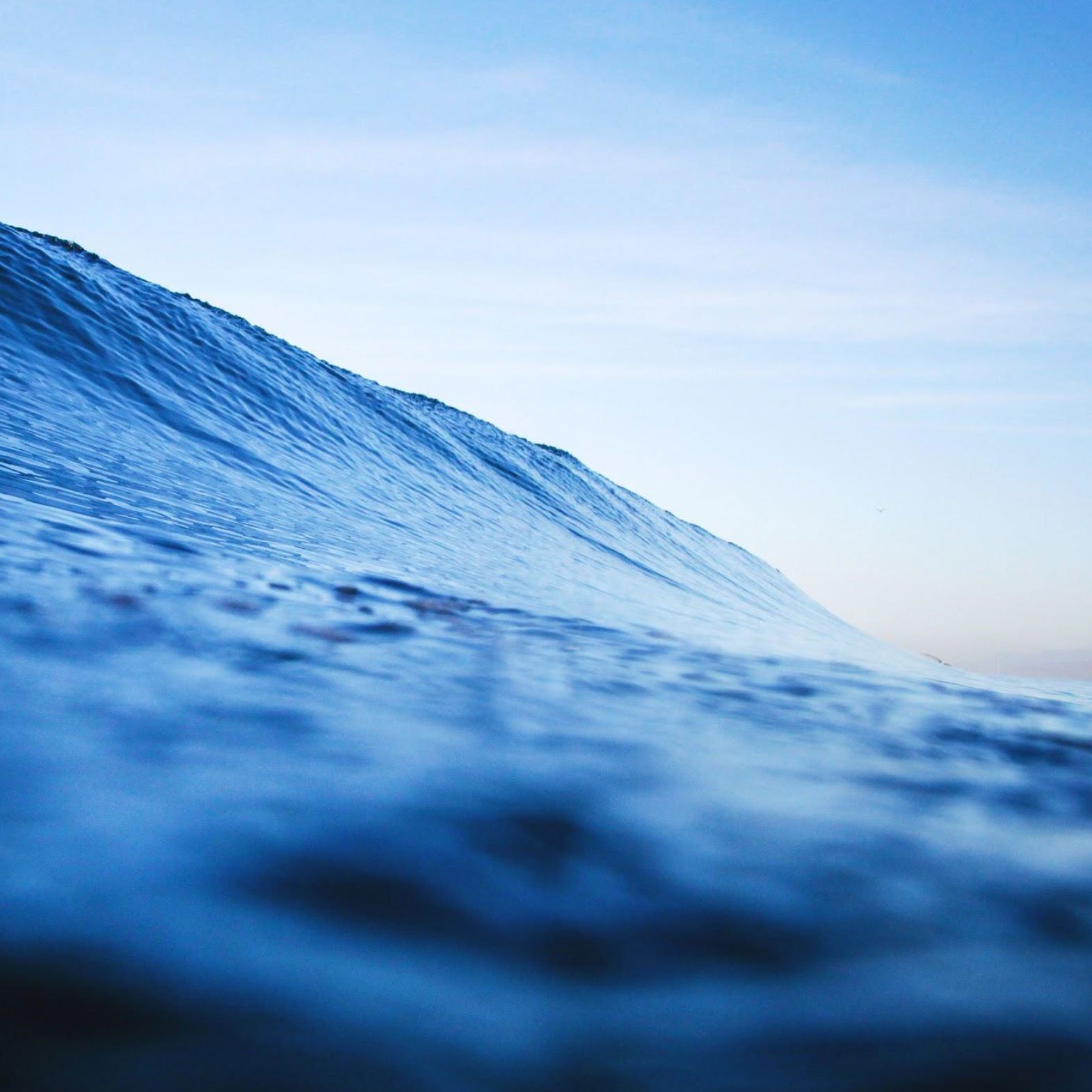 San Francisco Home Page